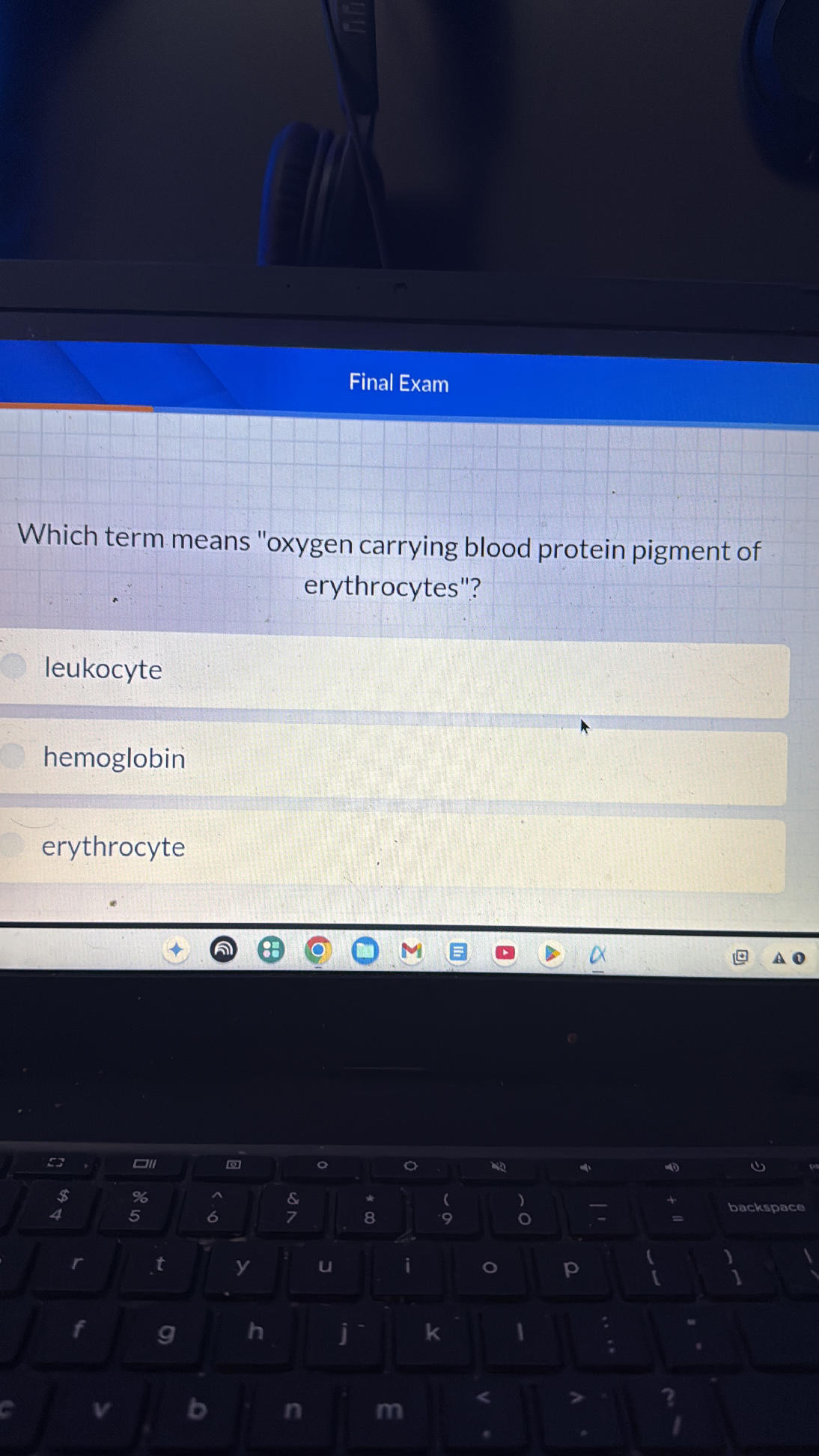 Which term means "oxygen carrying blood | StudyX