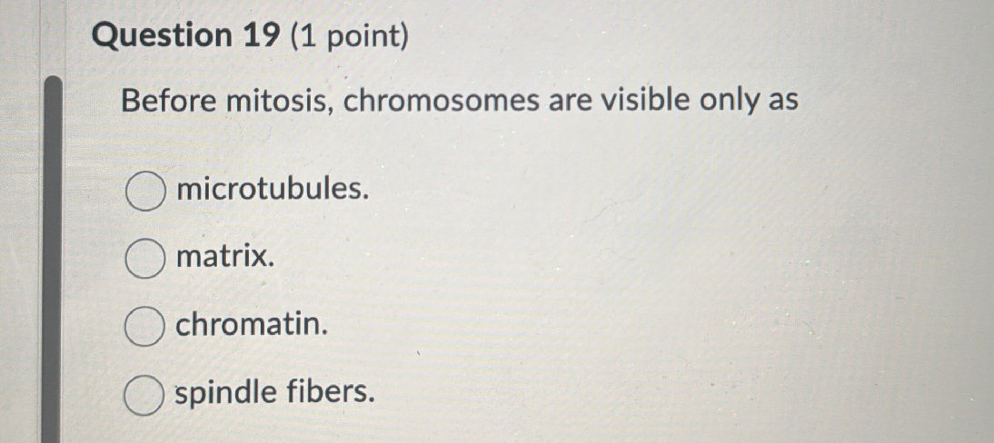 Question 19 (1 point) Before mitosis, | StudyX