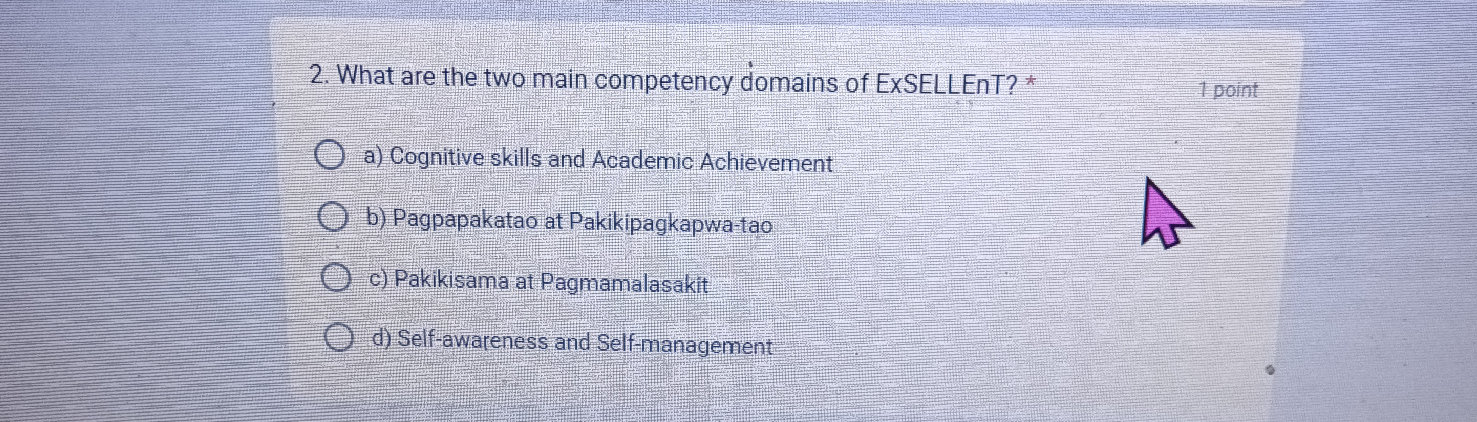 What are the two main competency domains of