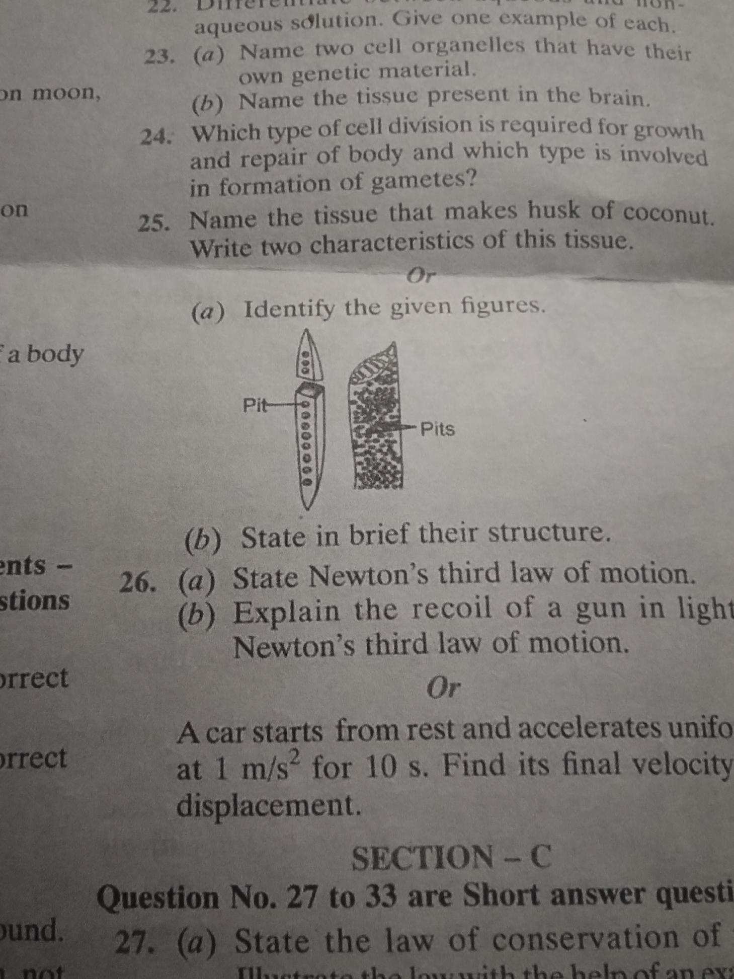 23. (a) Name two cell organelles that have | StudyX