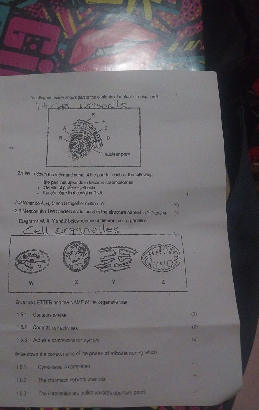The diagram below shows part of the contents | StudyX