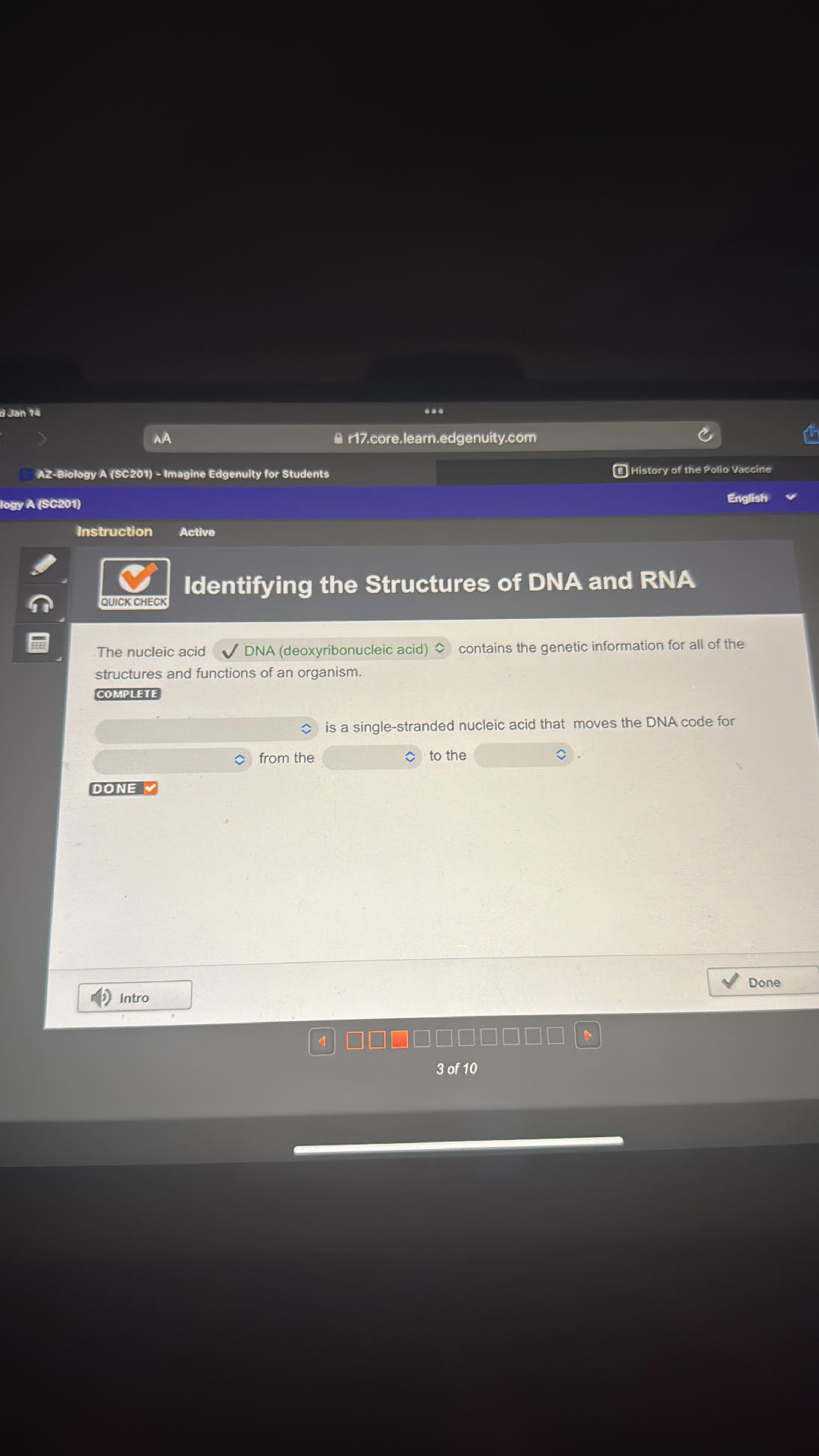 Identifying the Structures of DNA and RNA | StudyX