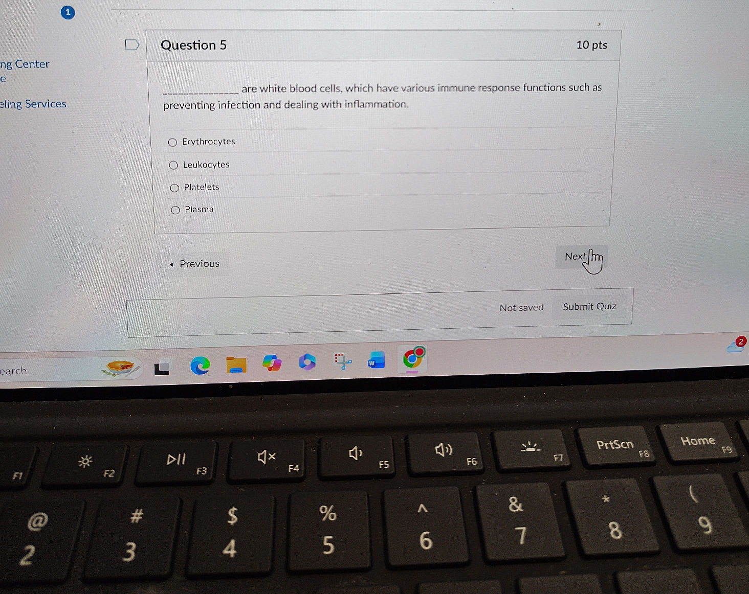 are white blood cells, which have | StudyX