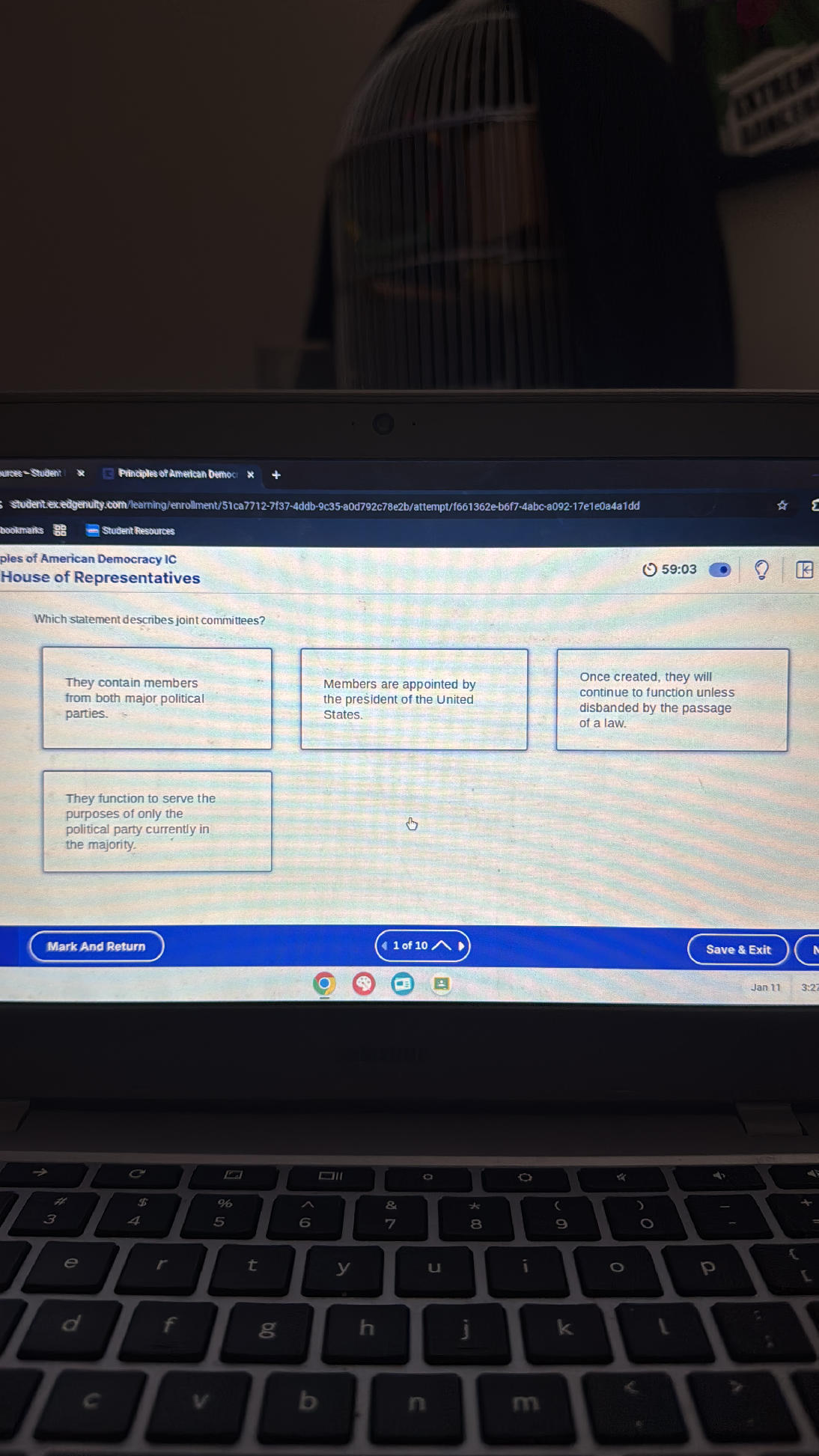 Which statement describes joint committees? | StudyX