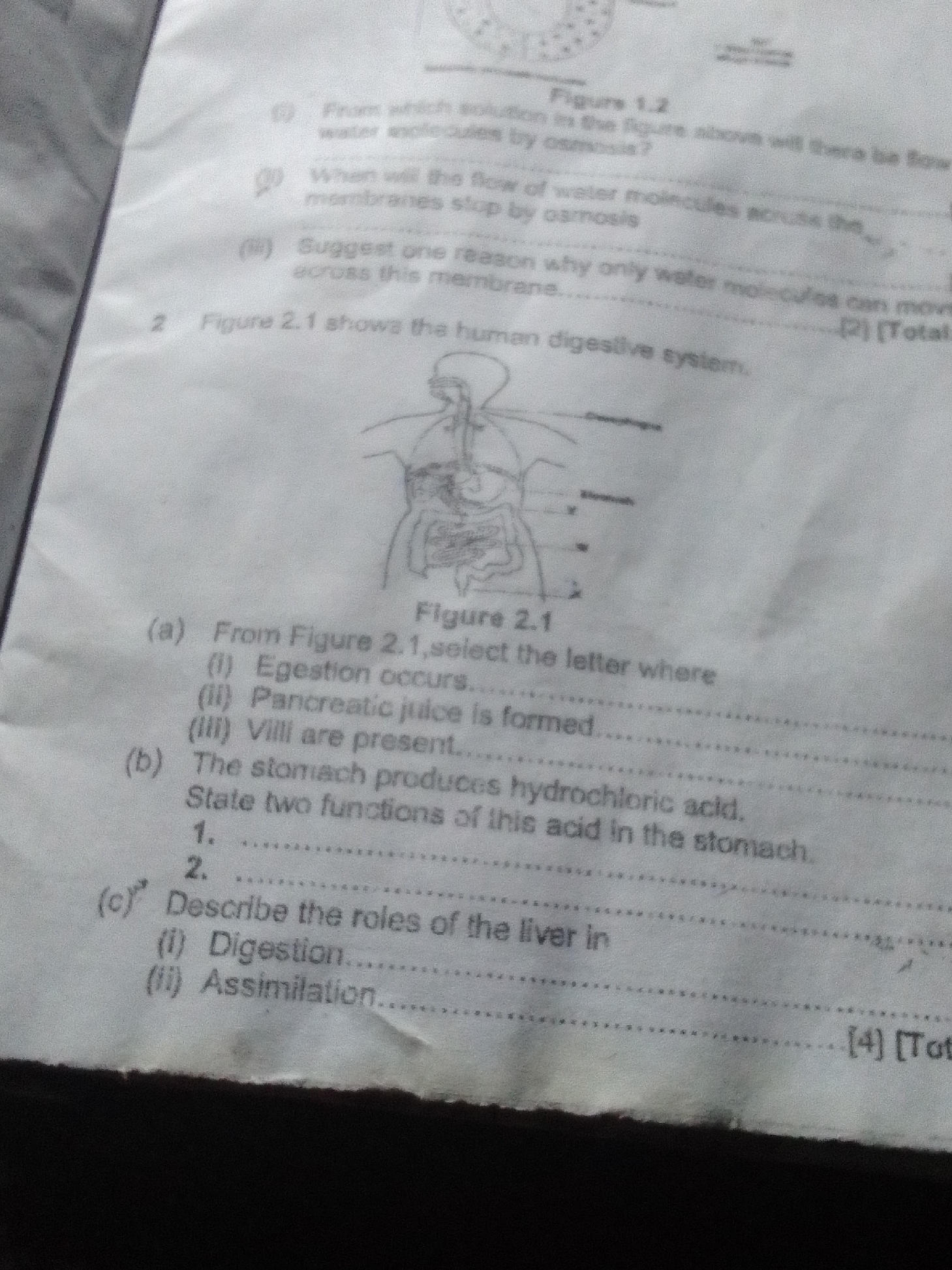 Figure 2.1 shows the human digestive system. | StudyX