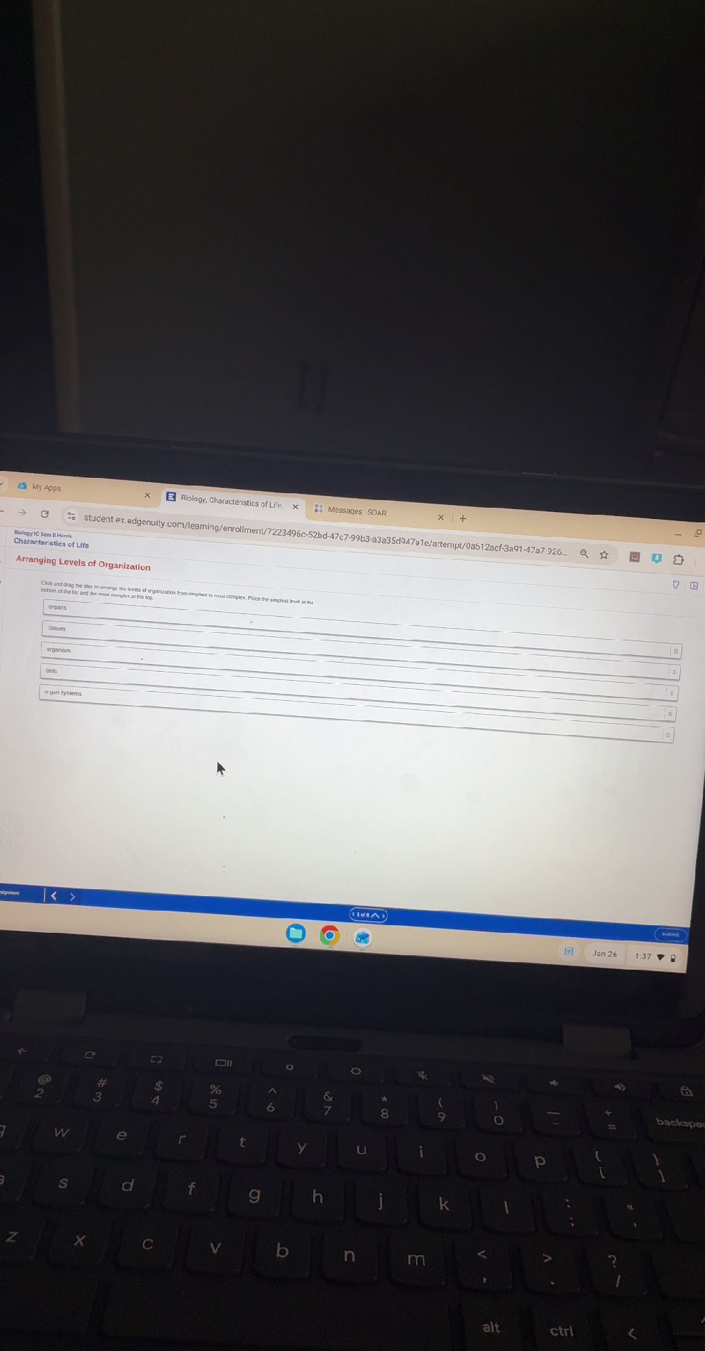 Arranging Levels of Organization Click and | StudyX