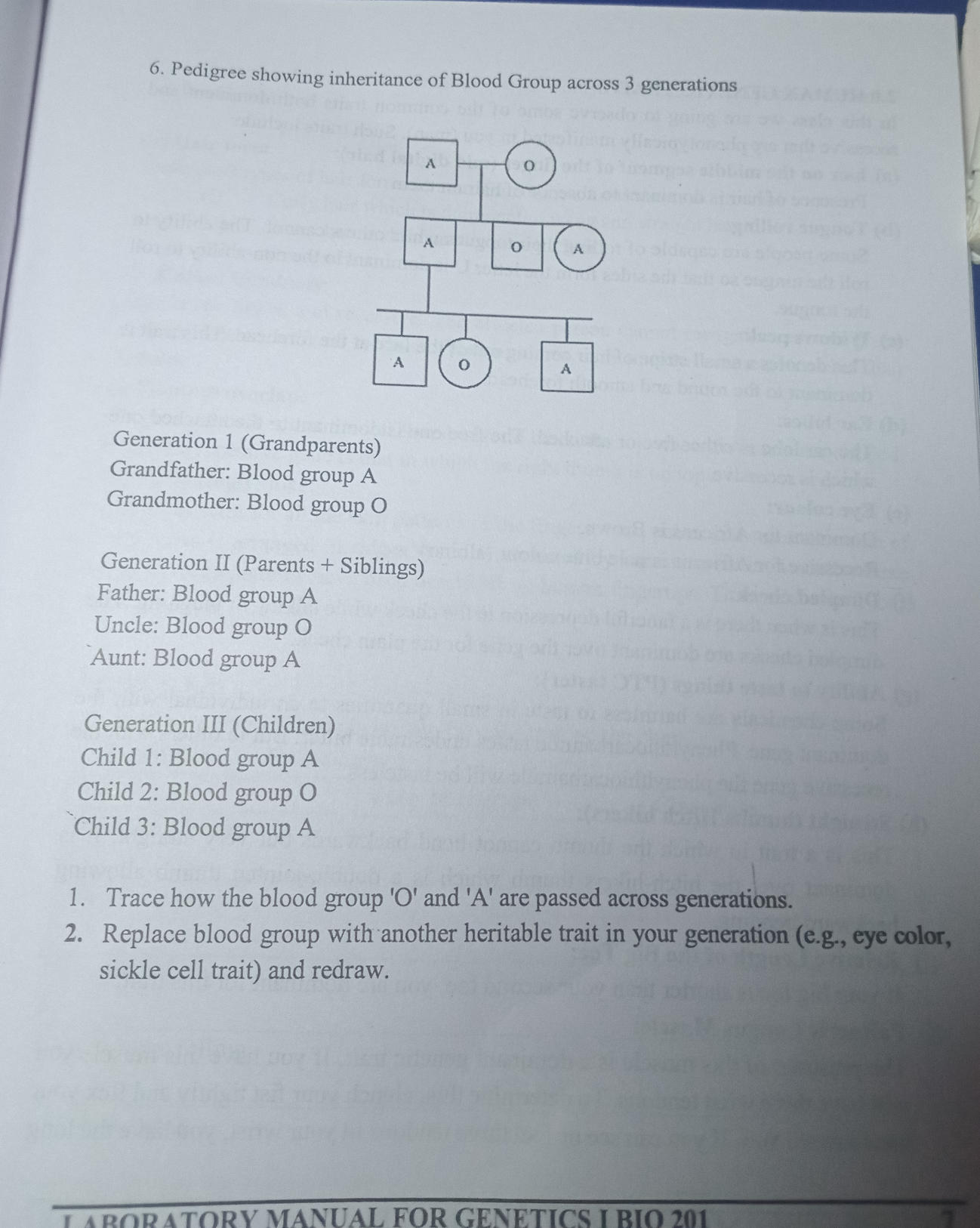 Pedigree showing inheritance of Blood Group | StudyX