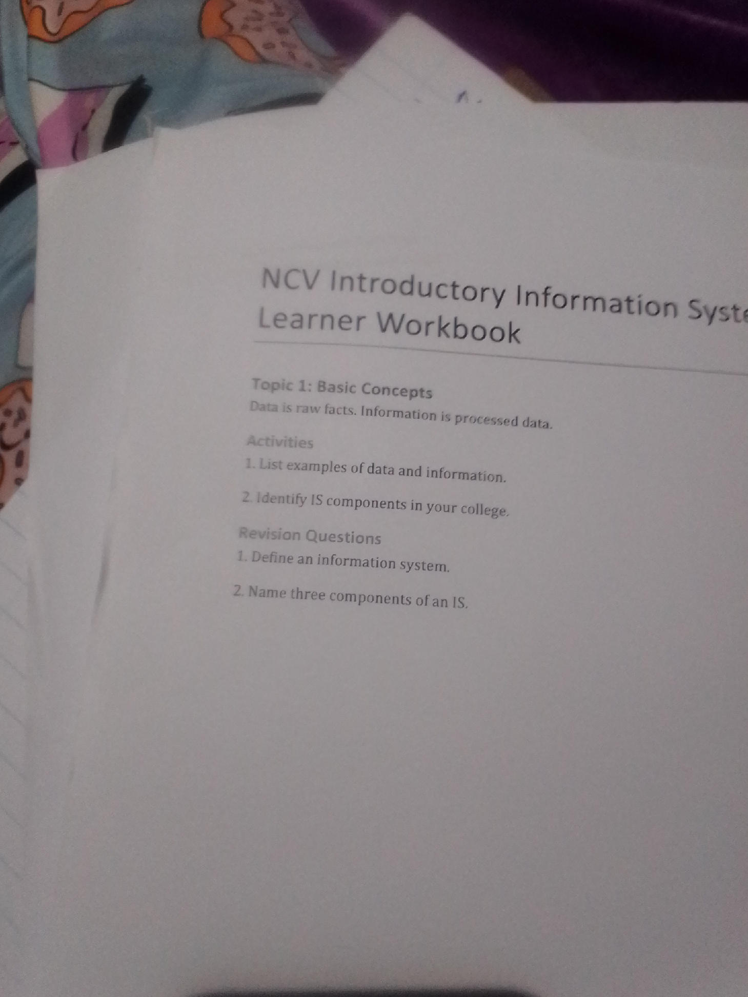 NCV Introductory Information Syste Learner | StudyX