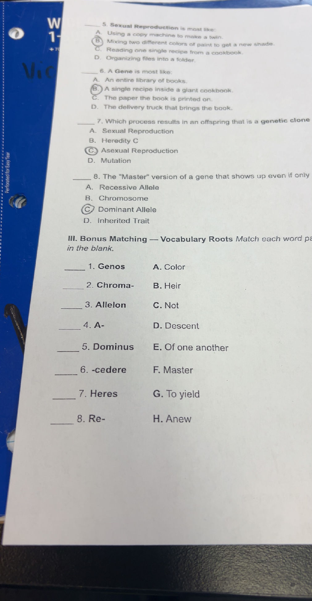6. A Gene is most like: A. An entire library | StudyX