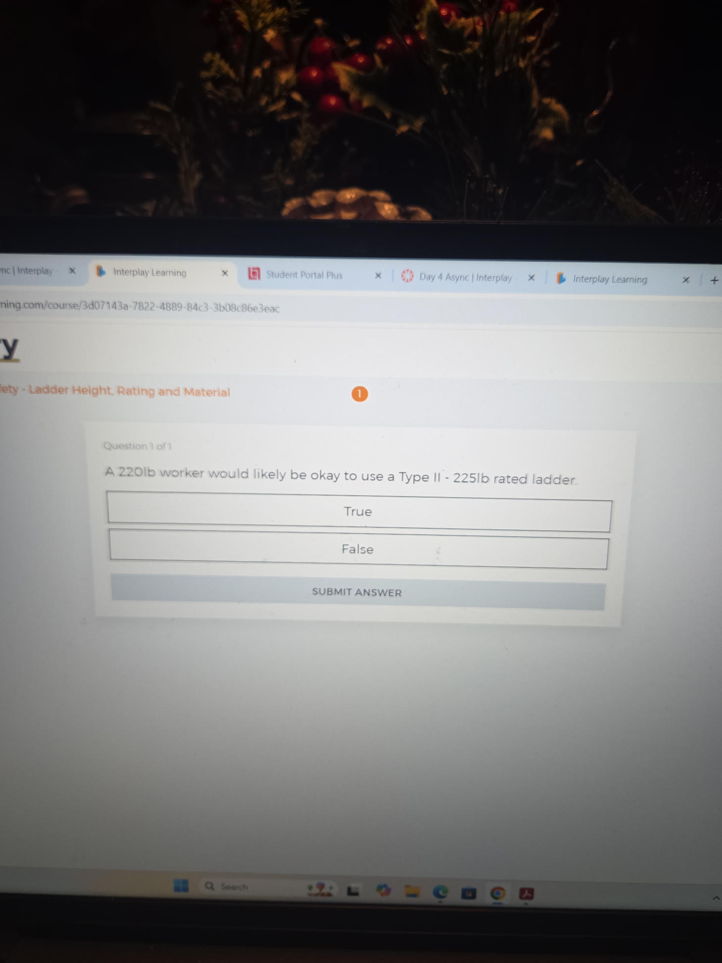 Safety - Ladder Height, Rating and Material | StudyX