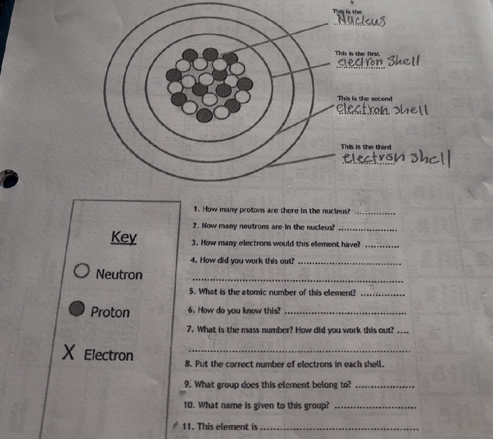 This is the **Nucleus**. This is the first | StudyX
