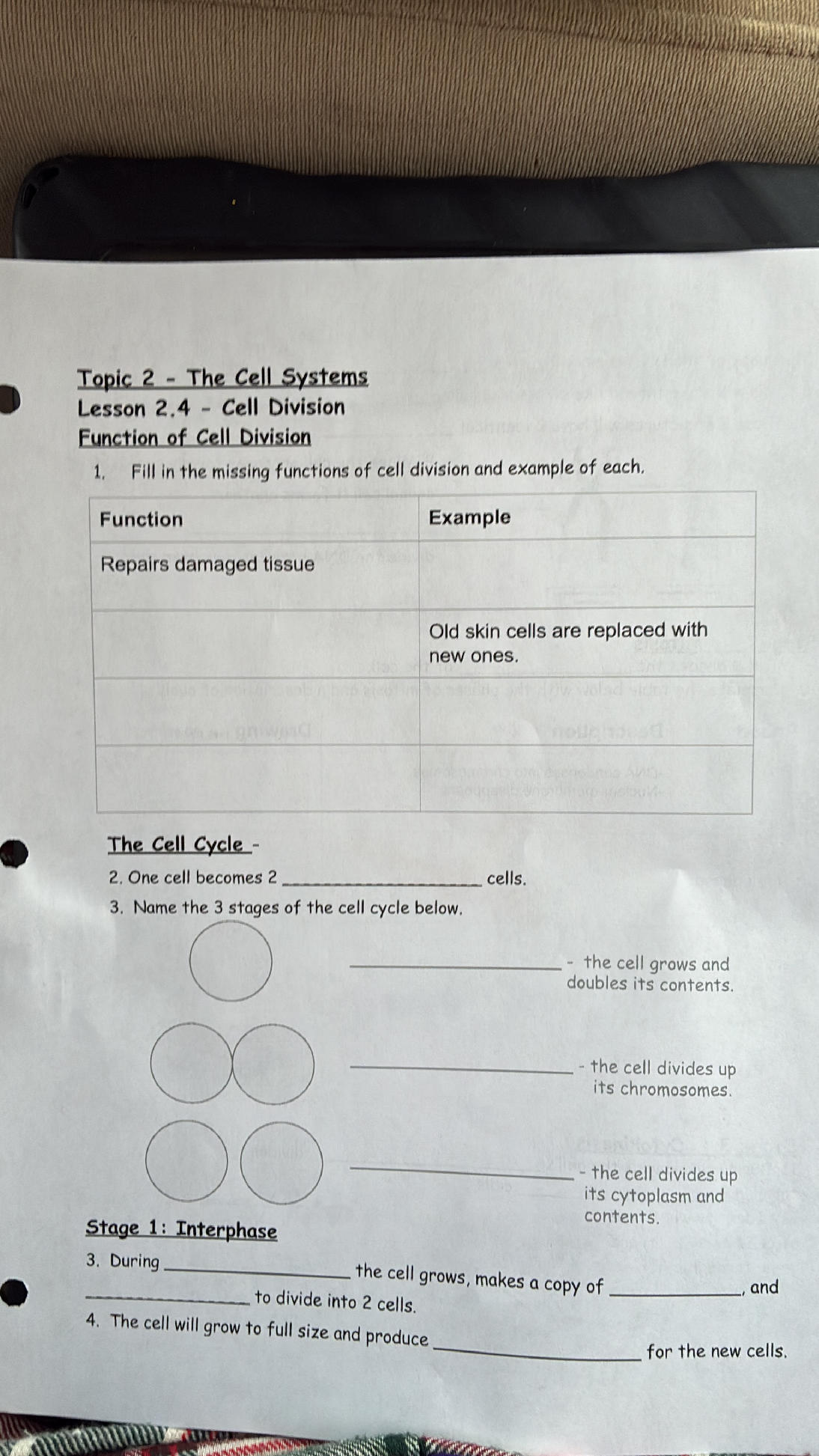 1. Fill in the missing functions of cell | StudyX
