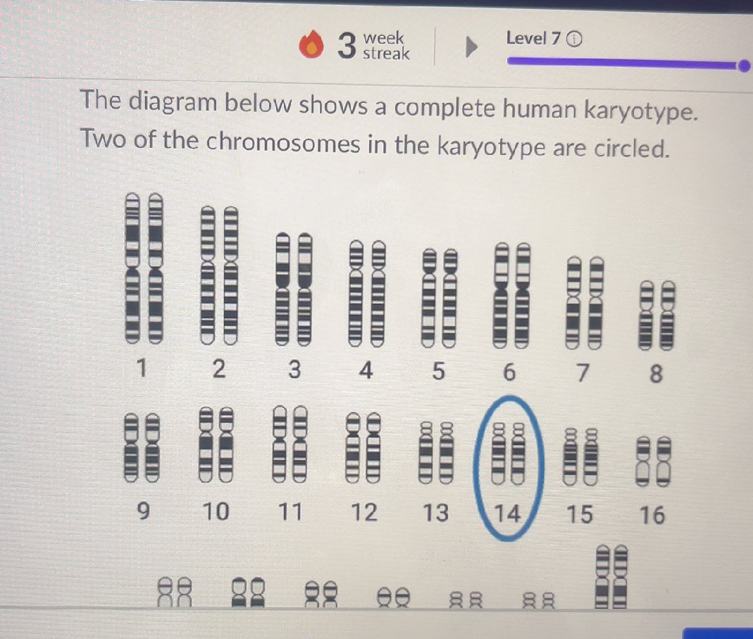 The diagram below shows a complete human