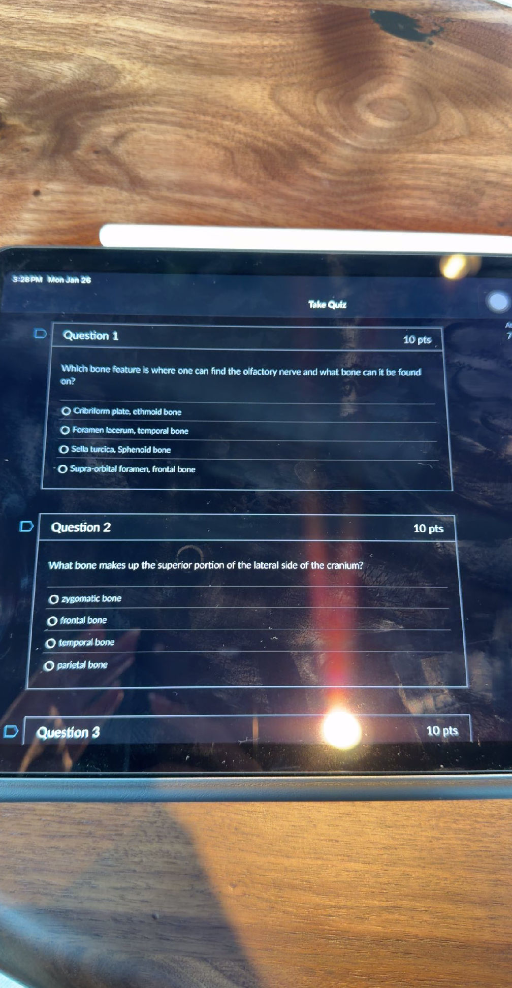 Which bone feature is where one can find the | StudyX
