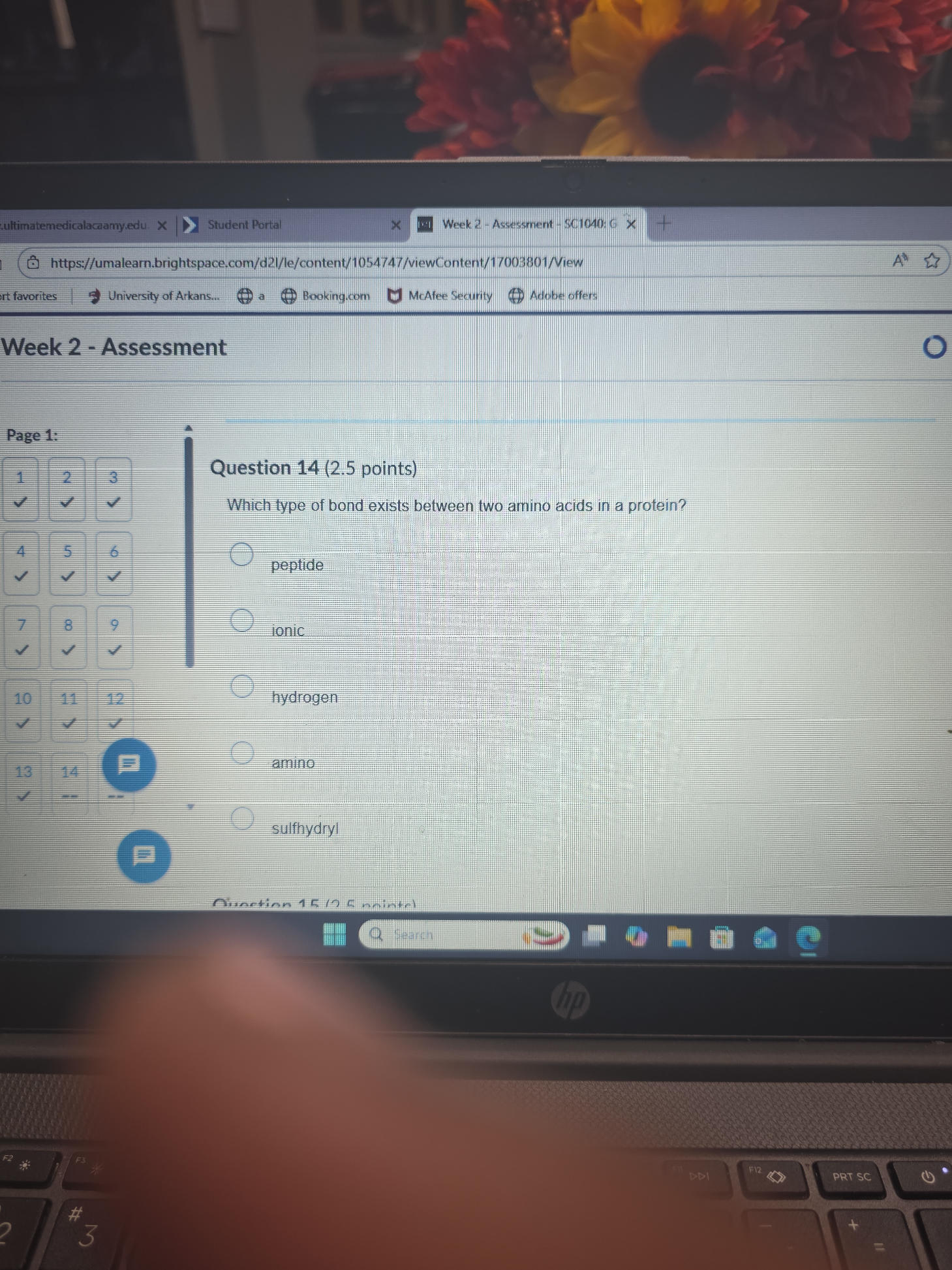 Question 14 (2.5 points) Which type of bond | StudyX