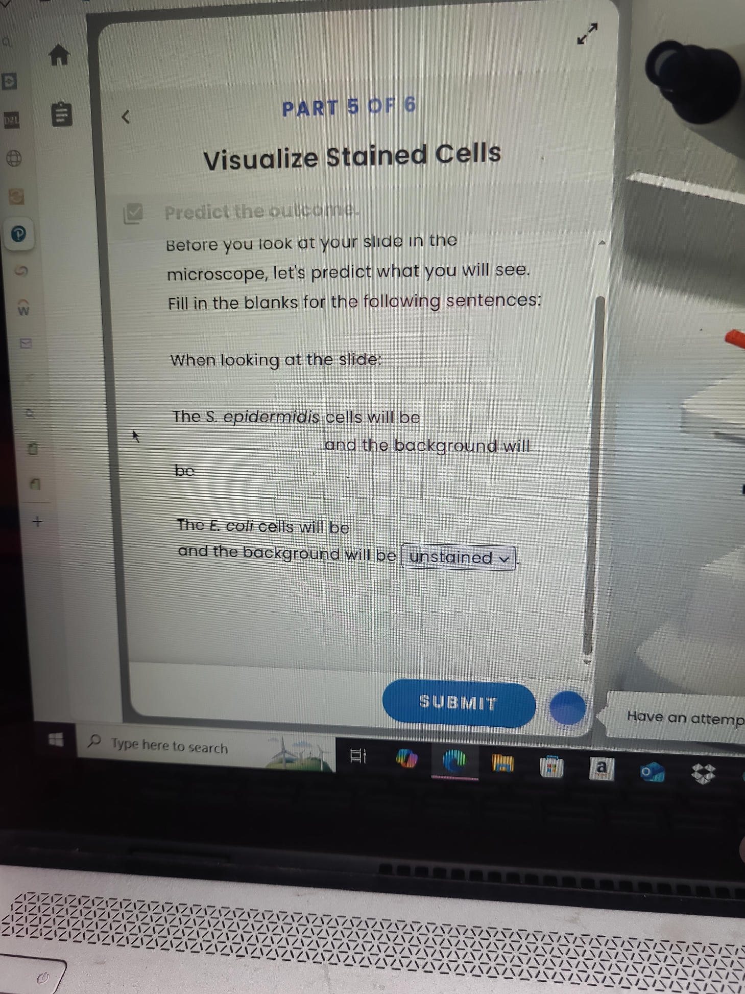PART 5 OF 6 Visualize Stained Cells | StudyX