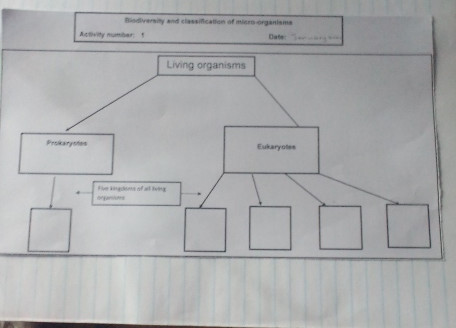 The following diagram shows the | StudyX