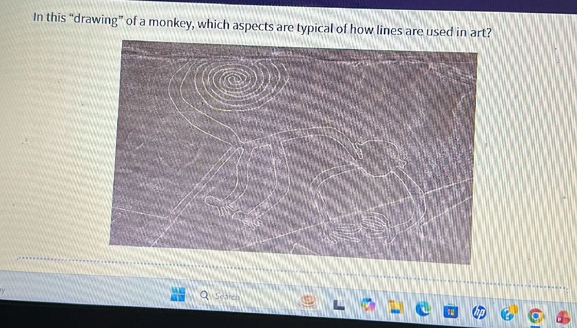 In this “drawing” of a monkey, which aspects | StudyX