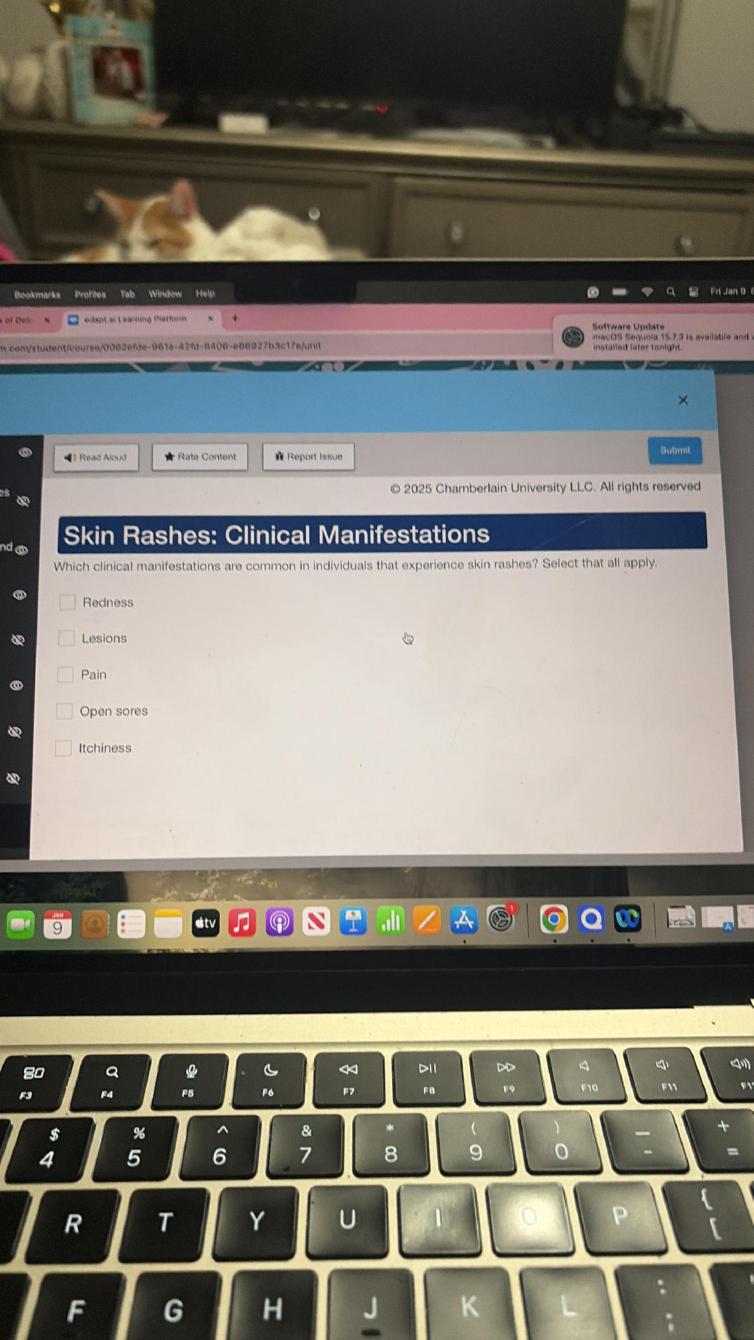 Skin Rashes: Clinical Manifestations Which | StudyX