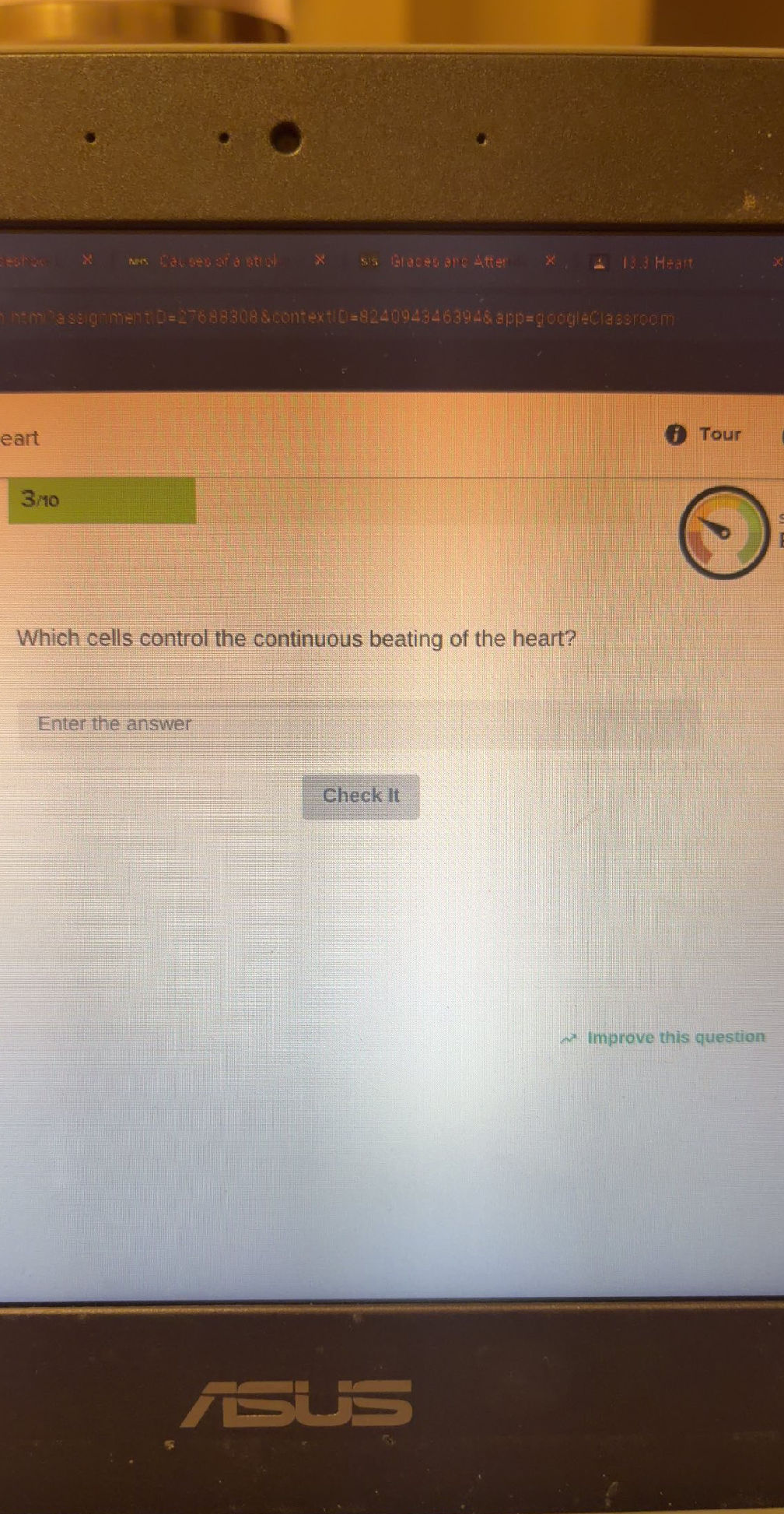 Which cells control the continuous beating | StudyX