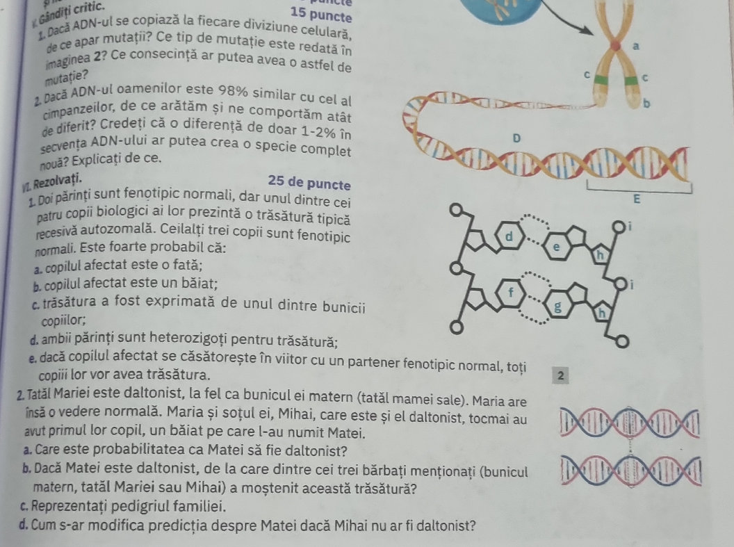 1. Dacă ADN-ul se copiază la fiecare | StudyX