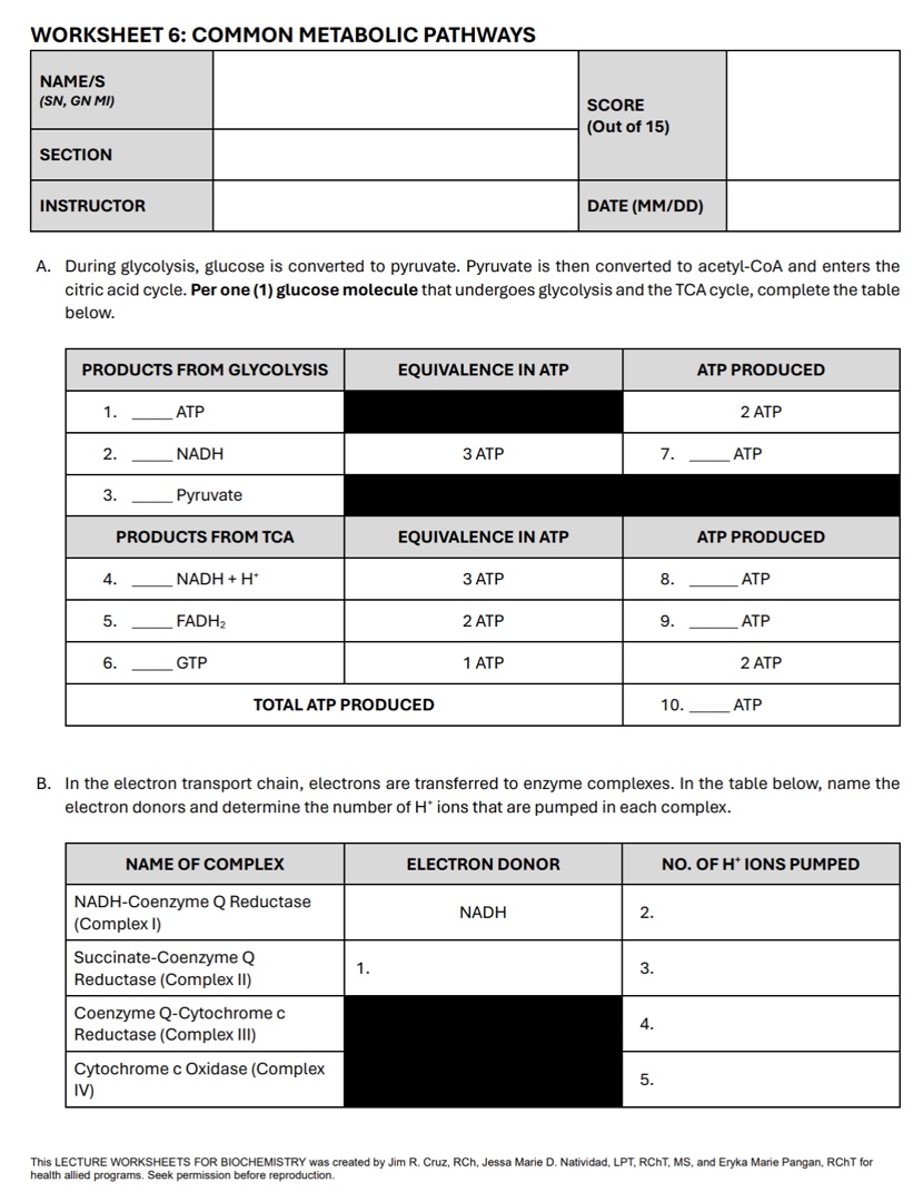 WORKSHEET 6 COMMON METABOLIC PATHWAYS llll | StudyX