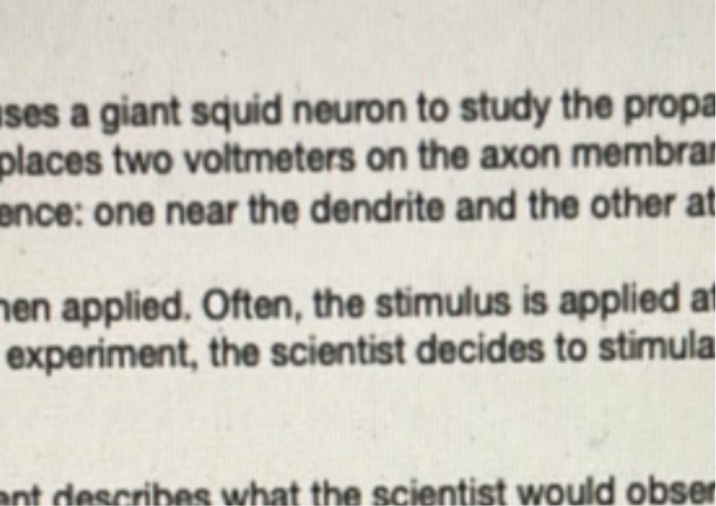 ses a giant squid neuron to study the prope | StudyX