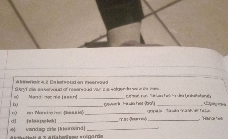 Aktiwiteit 4.2 Enkelvoud en meervoud Skryf