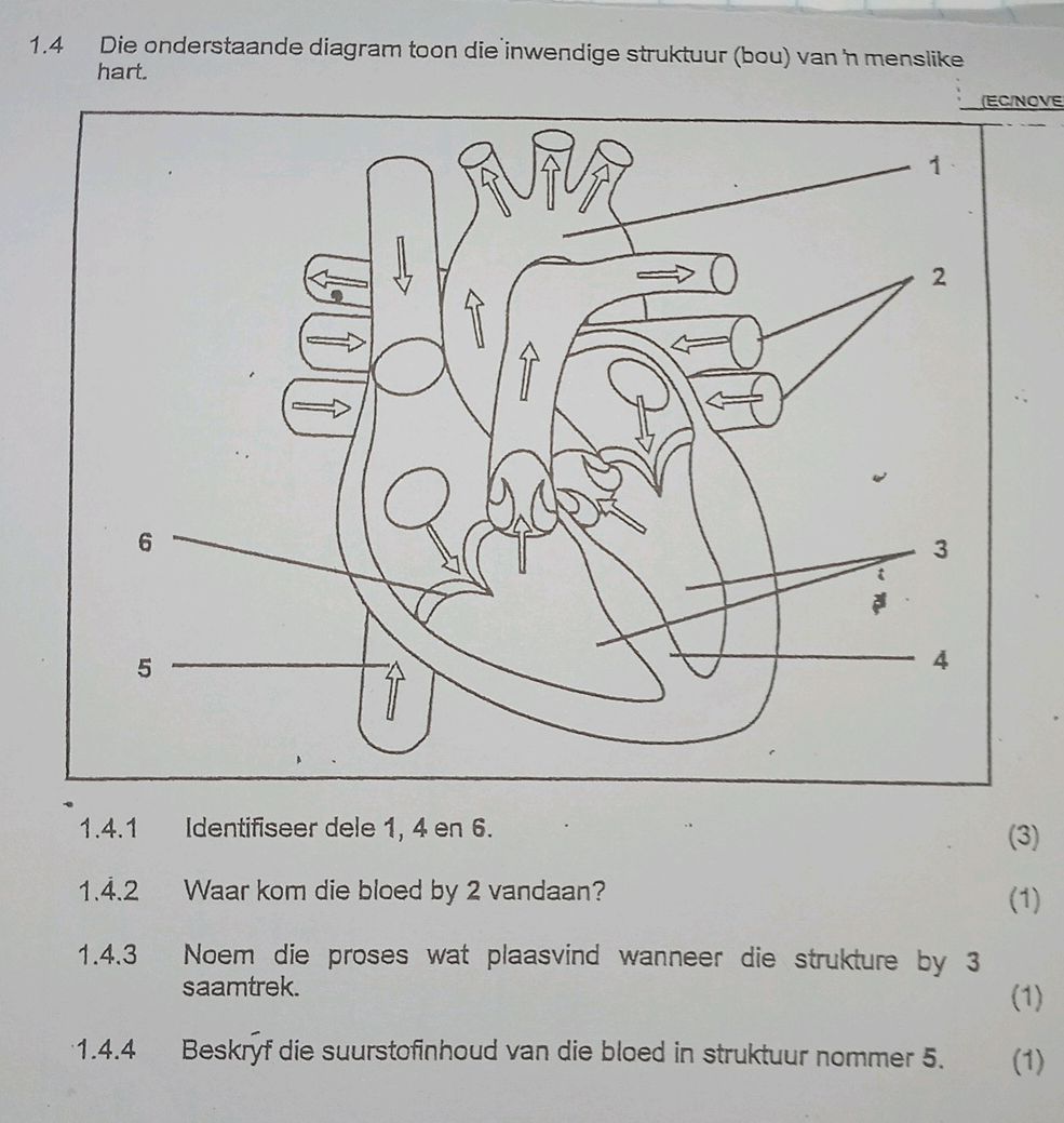 1.4 Die onderstaande diagram toon die | StudyX