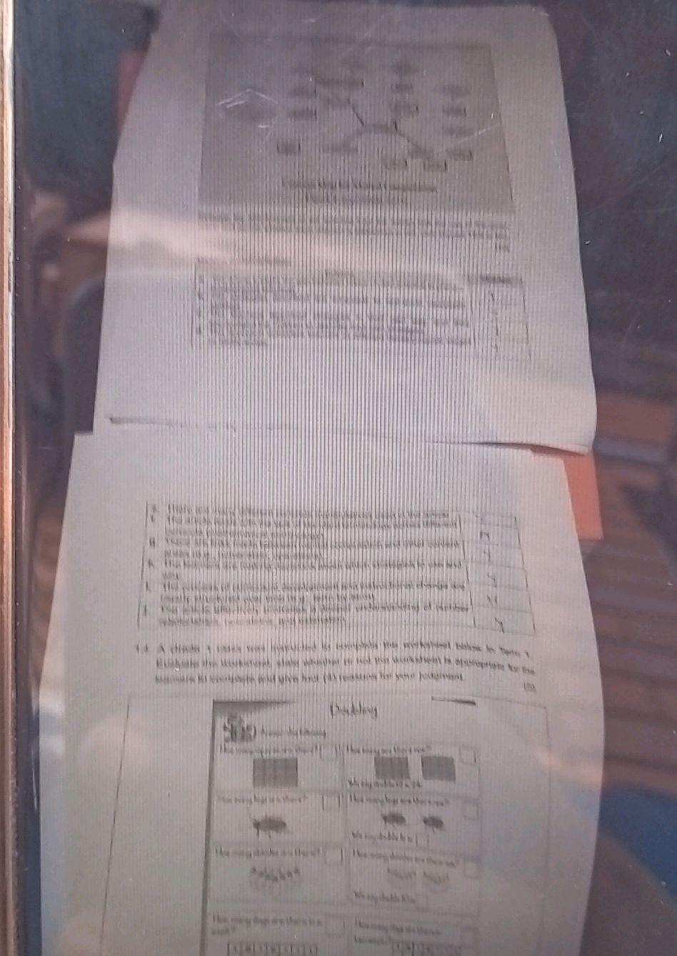 A grade 1 class was instructed to complete