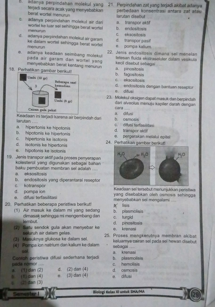 d. adanya perpindahan molekul air garam ke | StudyX