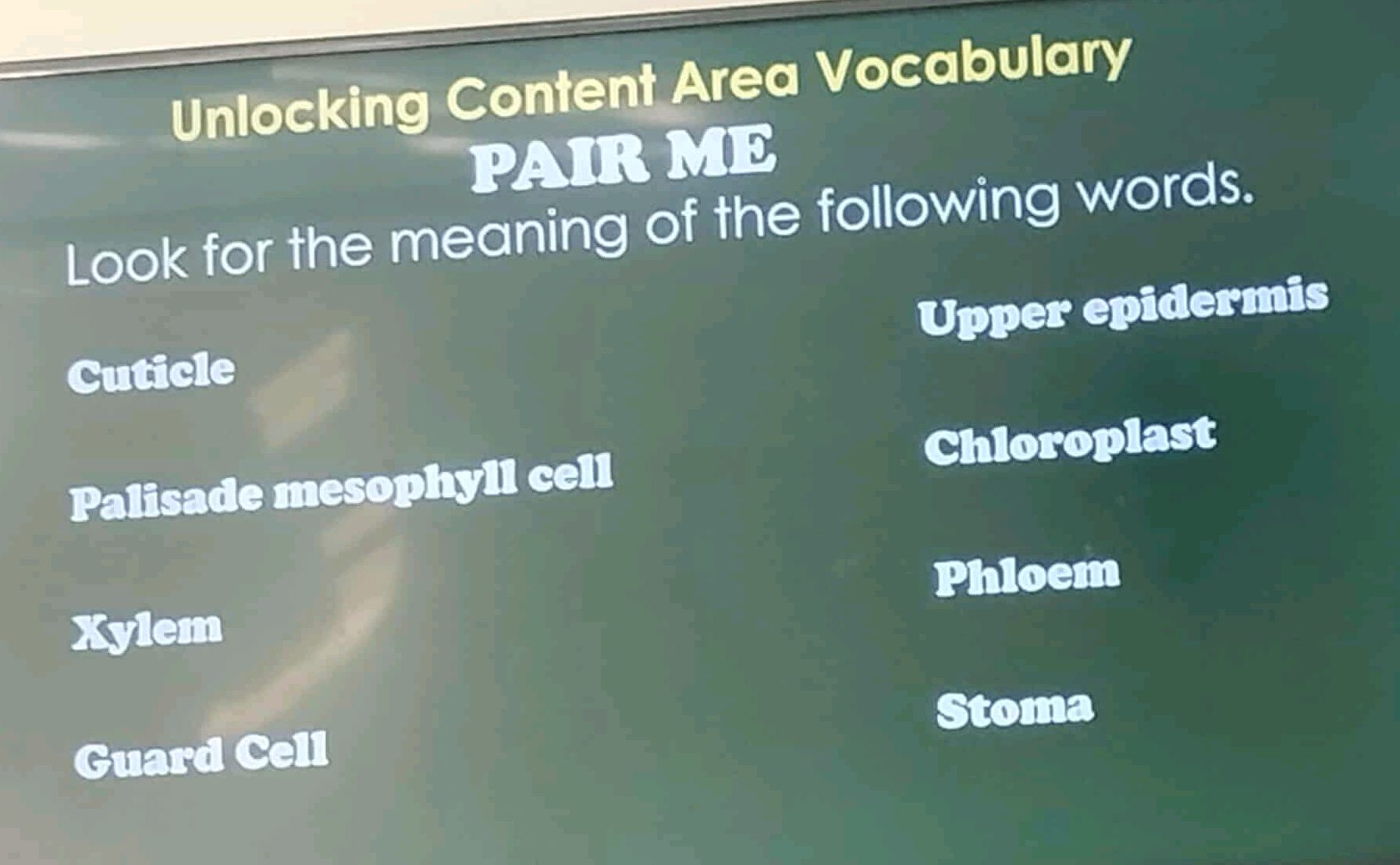 Look for the meaning of the following words. | StudyX