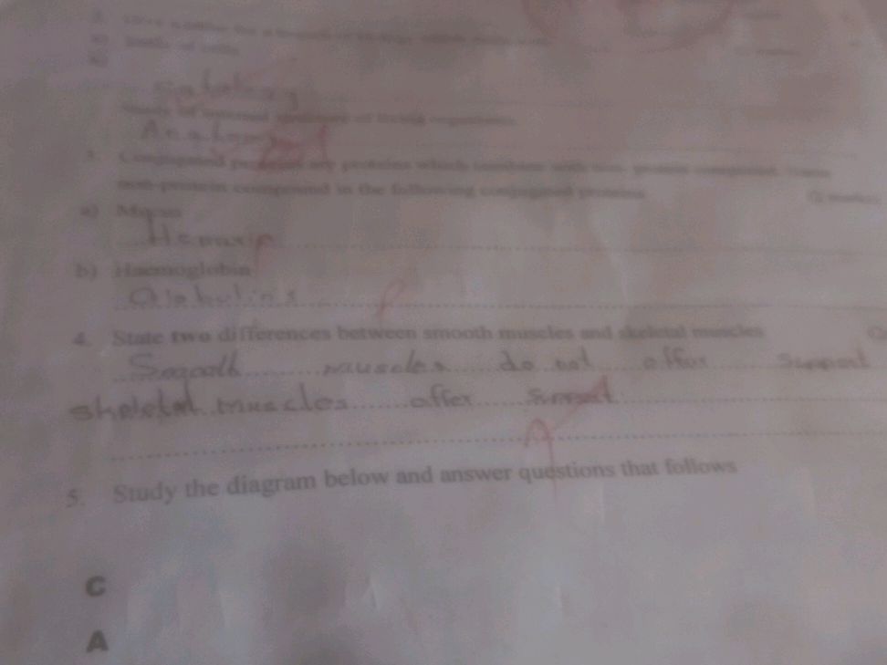 4. State two differences between smooth | StudyX