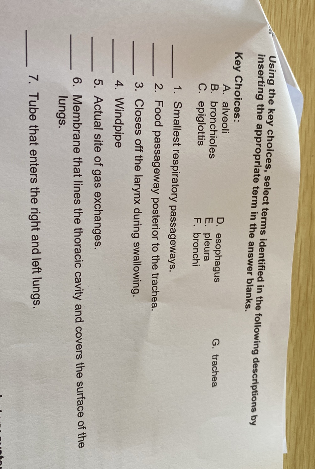 Using the key choices, select terms | StudyX