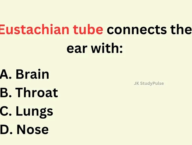 Eustachian tube connects the ear with: A. | StudyX
