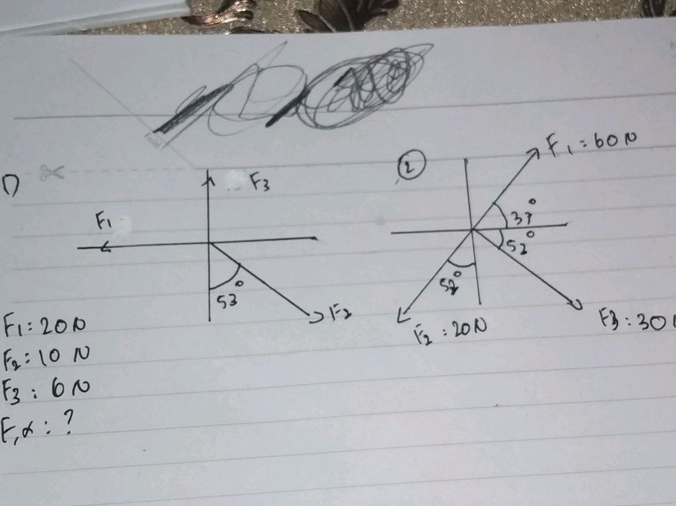 Force vector calculation | StudyX