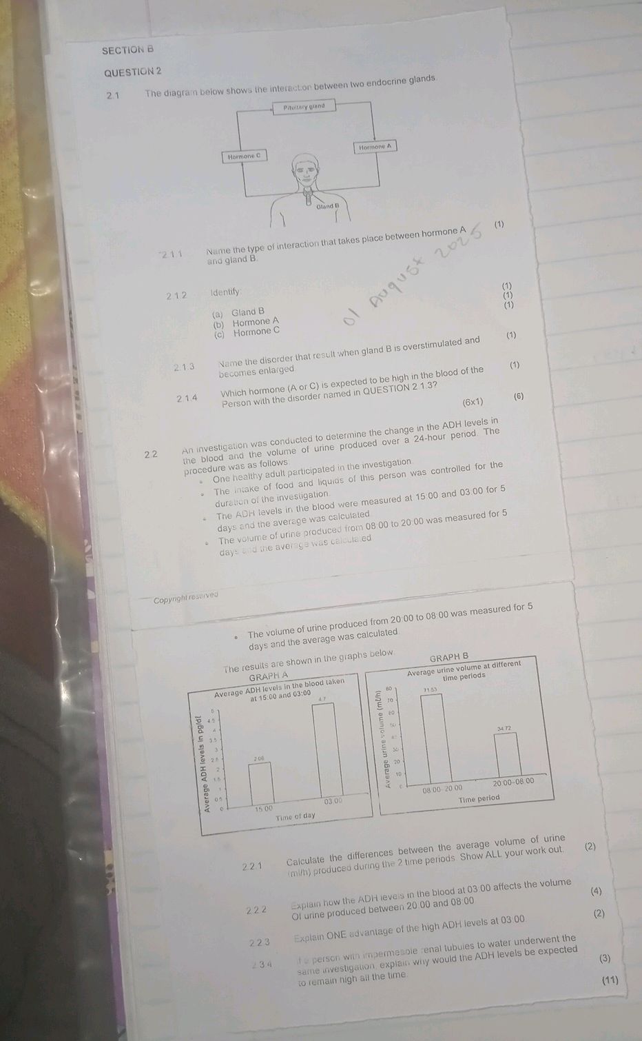 2.1 The diagram below shows the interaction | StudyX