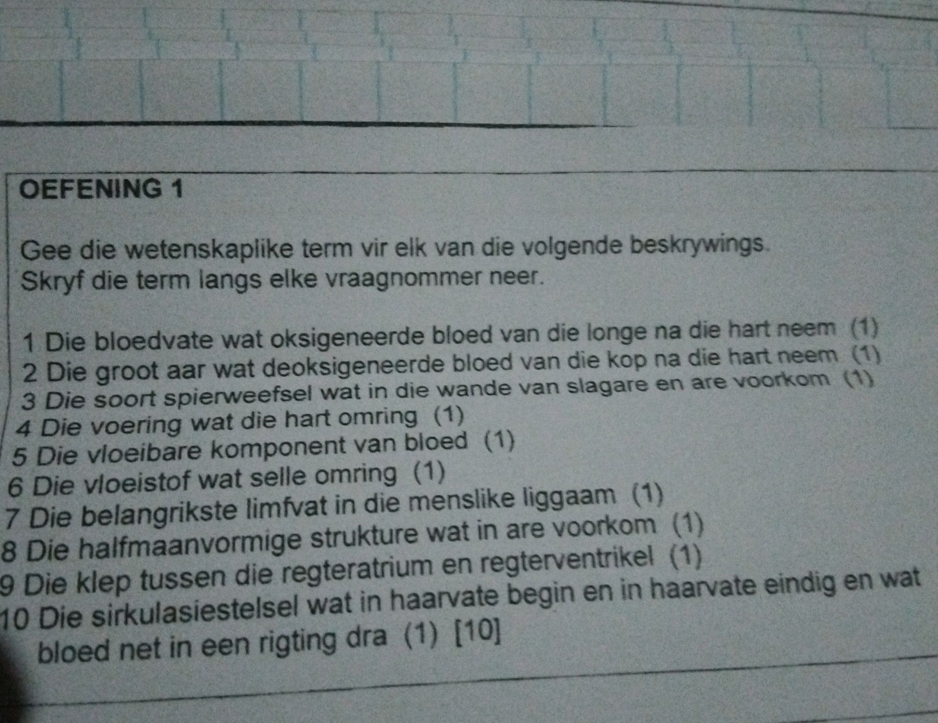 OEFENING 1 Gee die wetenskaplike term vir