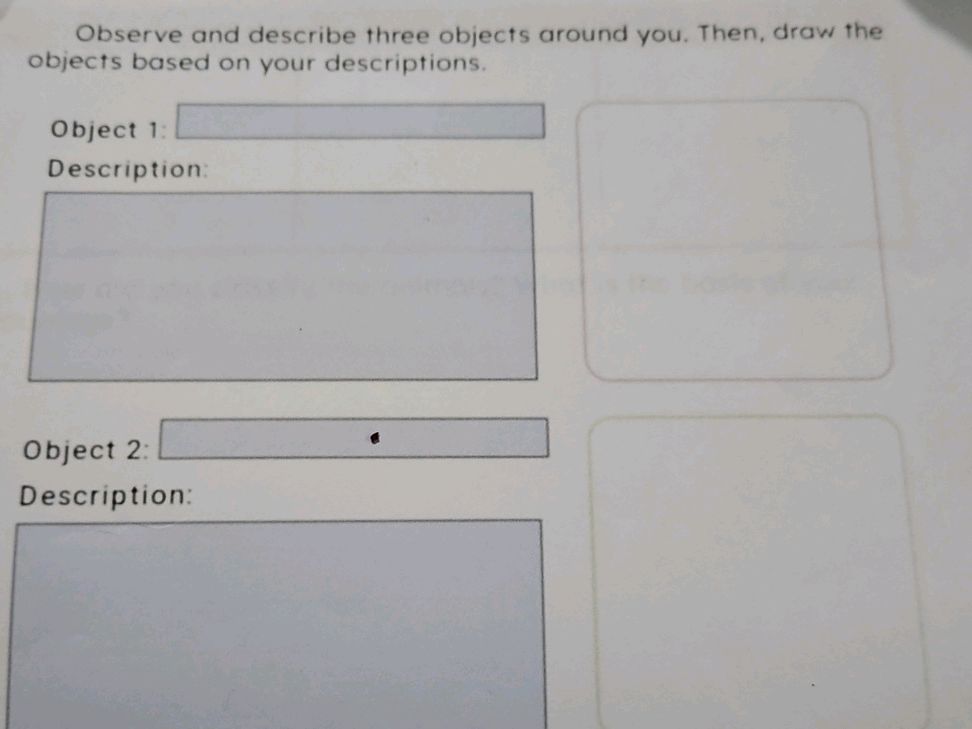 Observe and describe three objects around | StudyX