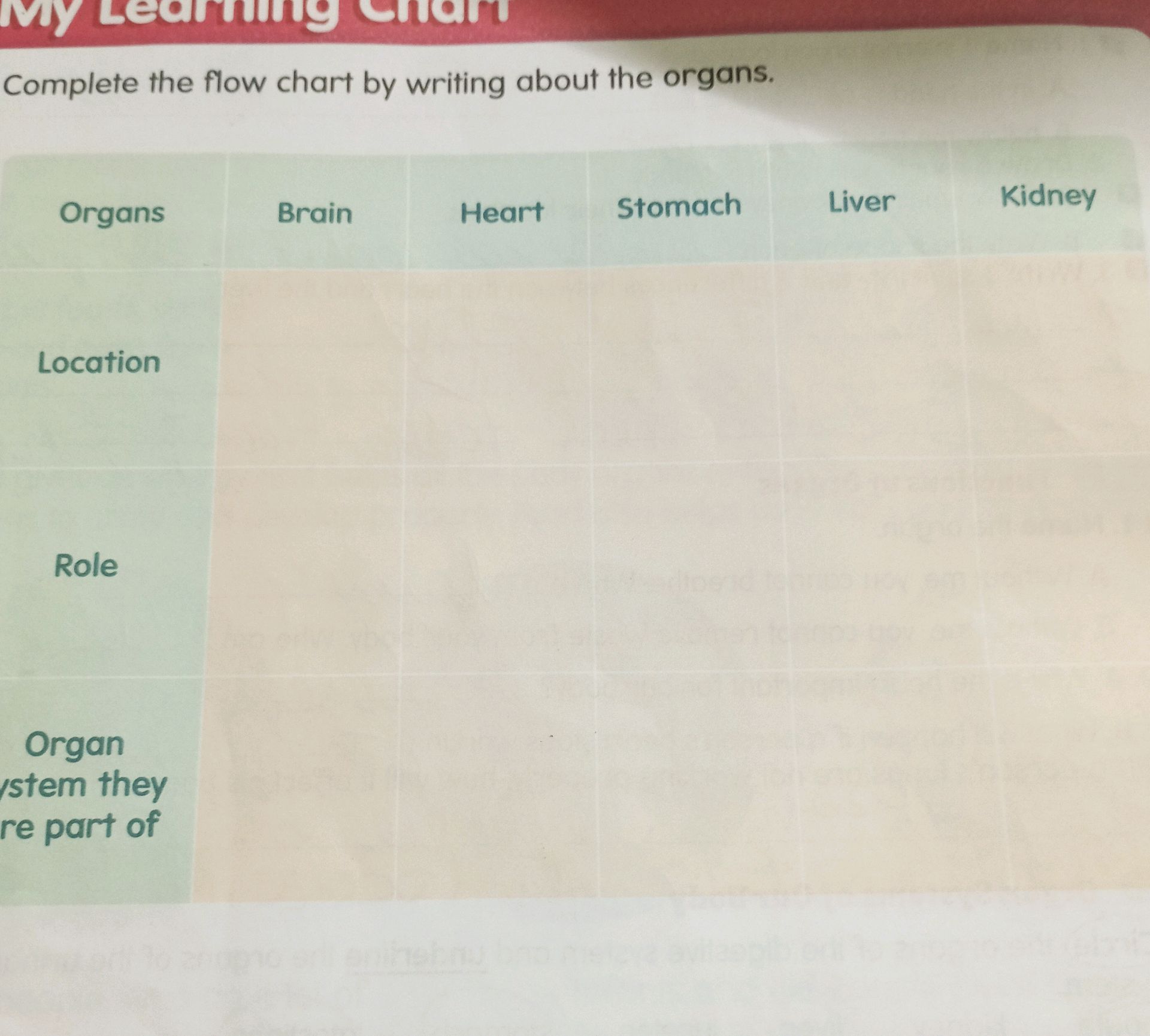 Complete the flow chart by writing about the | StudyX