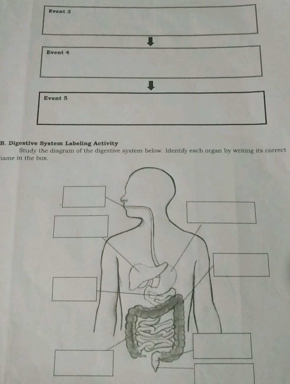 Event 3 Event 4 Event 5 B. Digestive | StudyX