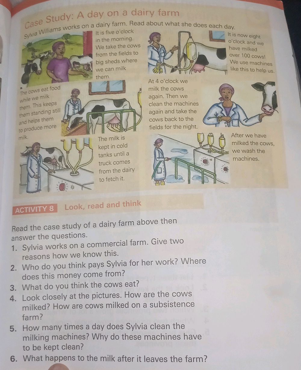 Case Study: A day on a dairy farm Sylvia