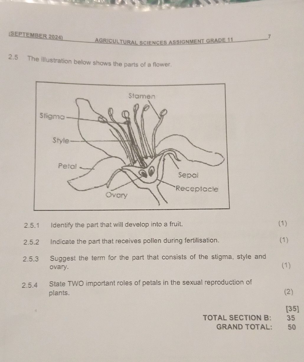 2.5 The illustration below shows the parts | StudyX