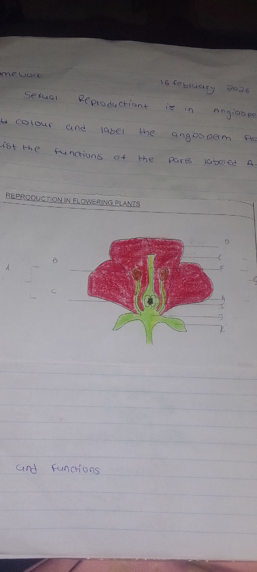 Homework 16 February 2026 Sexual | StudyX