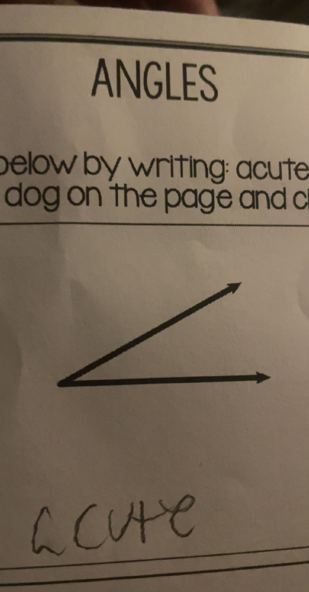 ANGLES below by writing: acute A line | StudyX