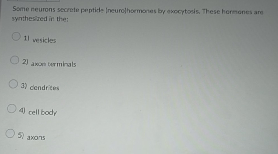 Some neurons secrete peptide (neuro)hormones | StudyX