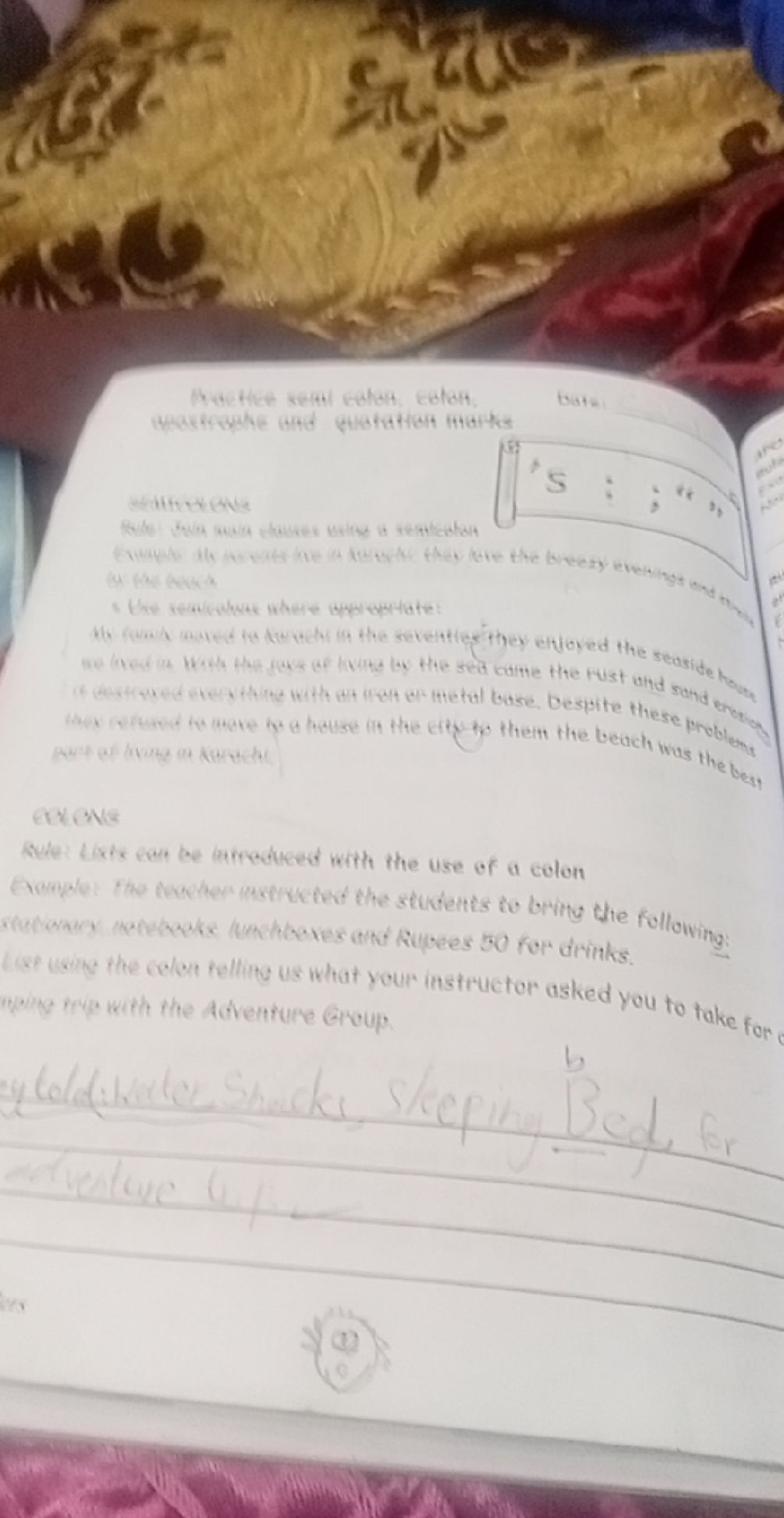 Practice semi colon, colon, apostrophe and | StudyX