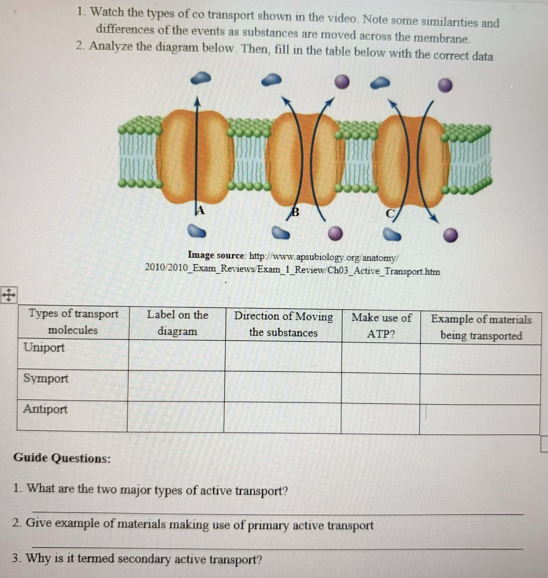 Watch the types of co transport shown in the | StudyX