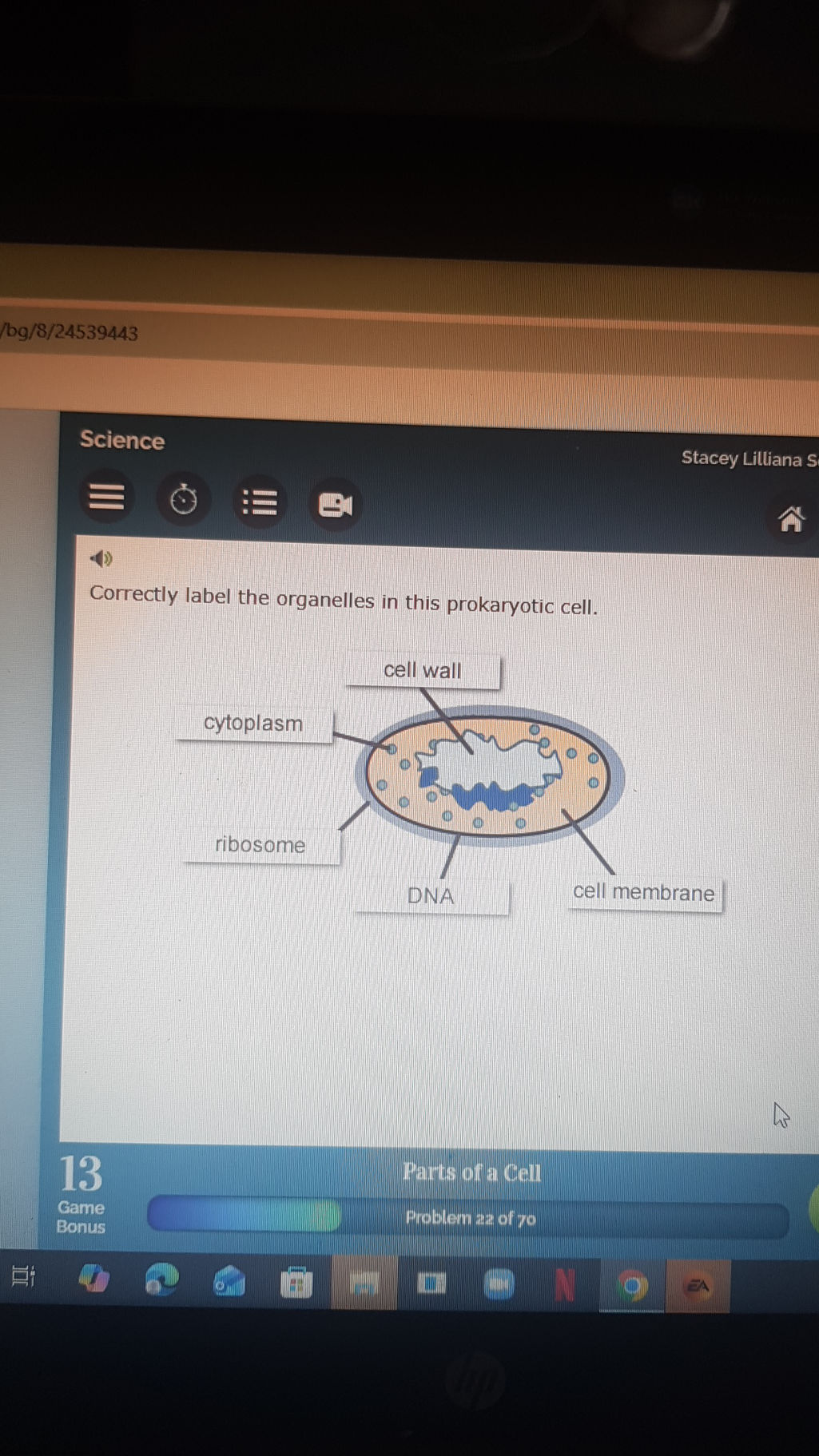 Correctly label the organelles in this | StudyX