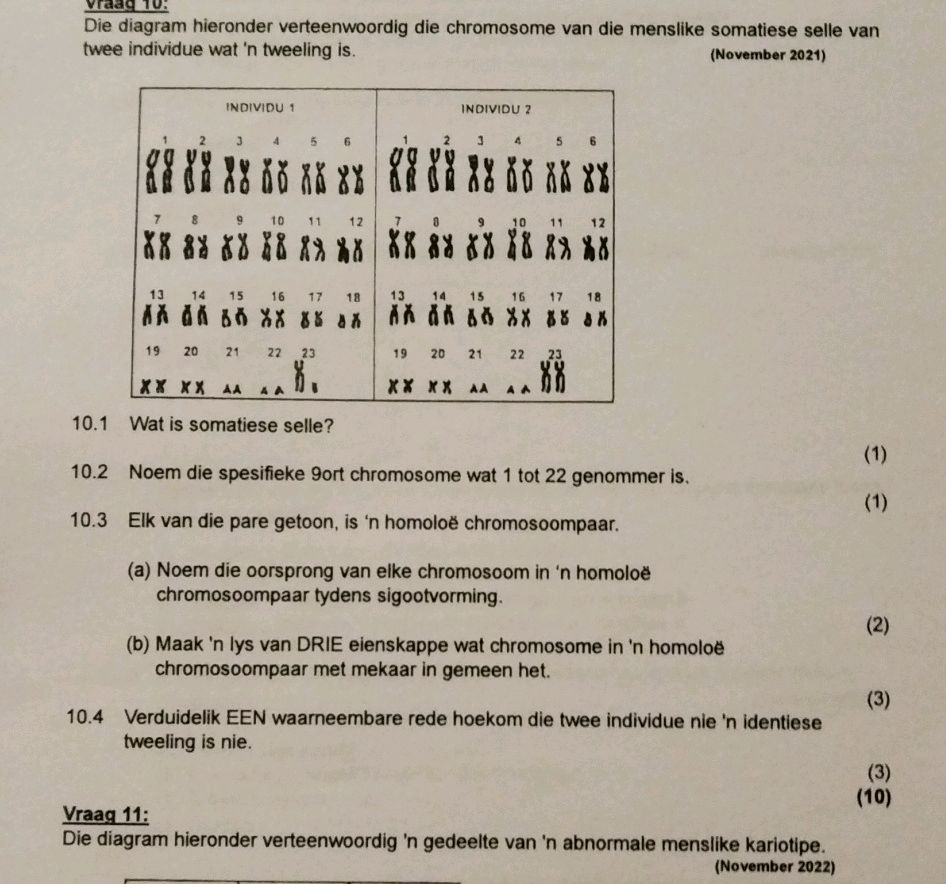 Vraag 10: Die diagram hieronder | StudyX